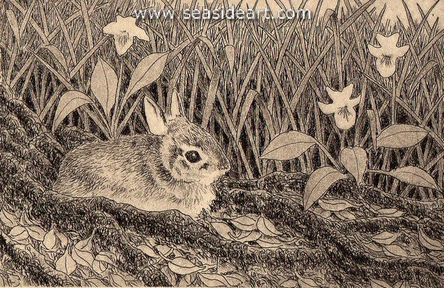 David Hunter Etchings - Seaside Art Gallery
