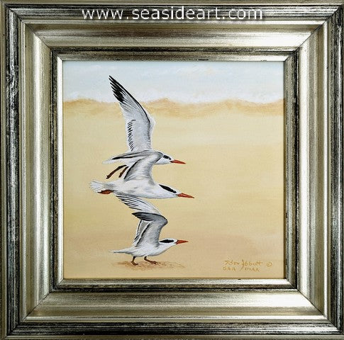 We Three Terns of Nags Head - Seaside Art Gallery