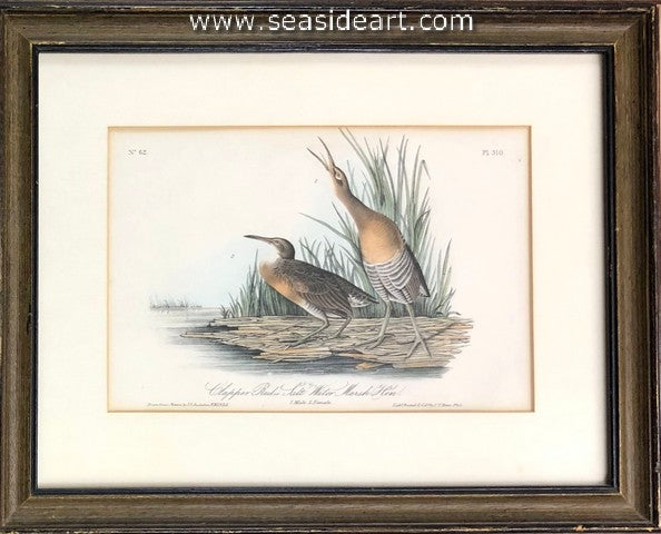 Clapper Rail - Seaside Art Gallery