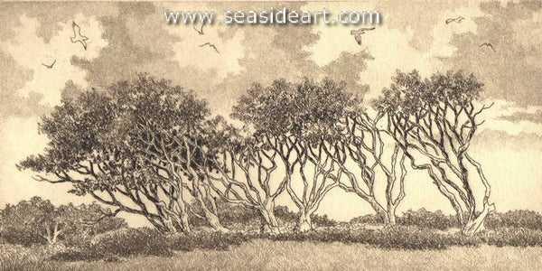 David Hunter Etchings - Seaside Art Gallery