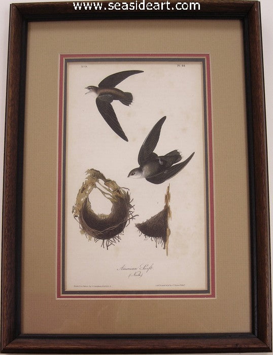 American Swift - Seaside Art Gallery