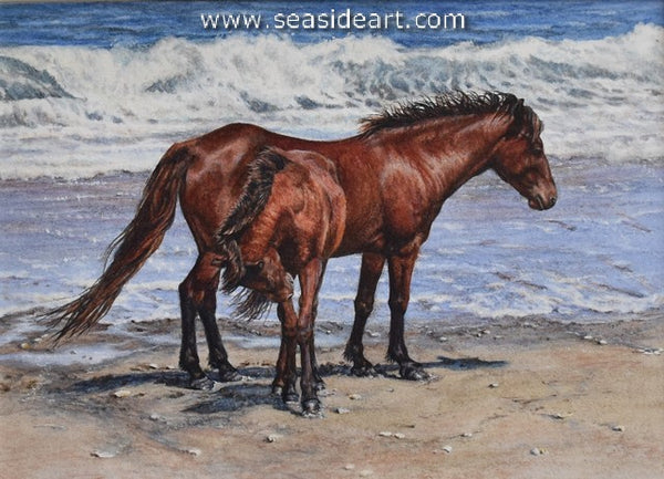 Banker Ponies - Seaside Art Gallery