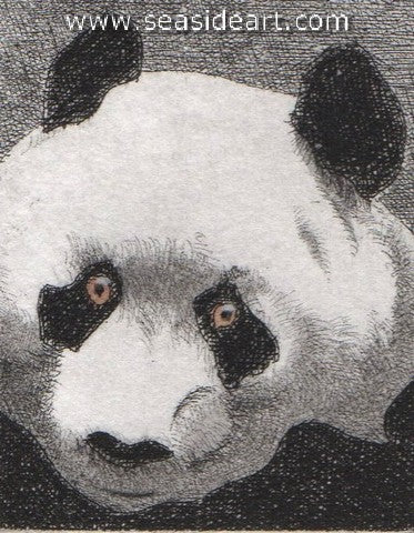 David Hunter Etchings - Seaside Art Gallery
