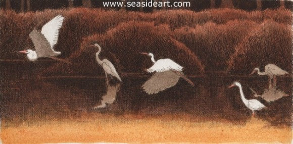 Sienna Marsh - Seaside Art Gallery