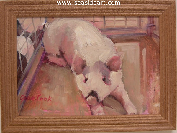 Snowball, The Pig - Seaside Art Gallery