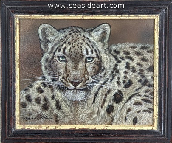 Captivating Grace (Snow Leopard Cub) - Seaside Art Gallery